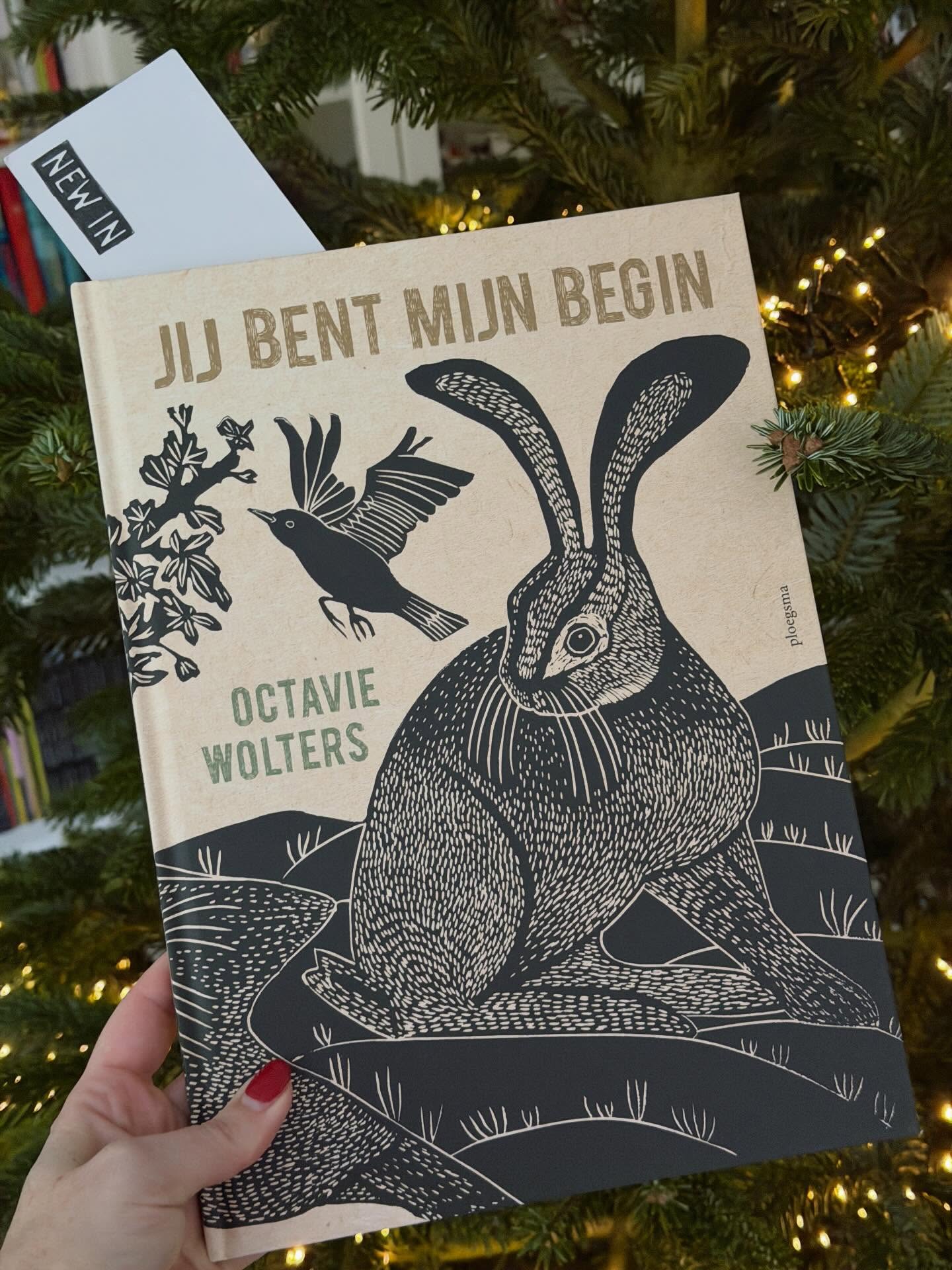 Onthoud dit altijd – De jongen, de mol, de vos, het paard en de storm ...